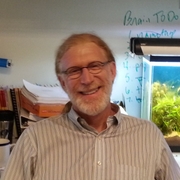 David Randle | Coursera